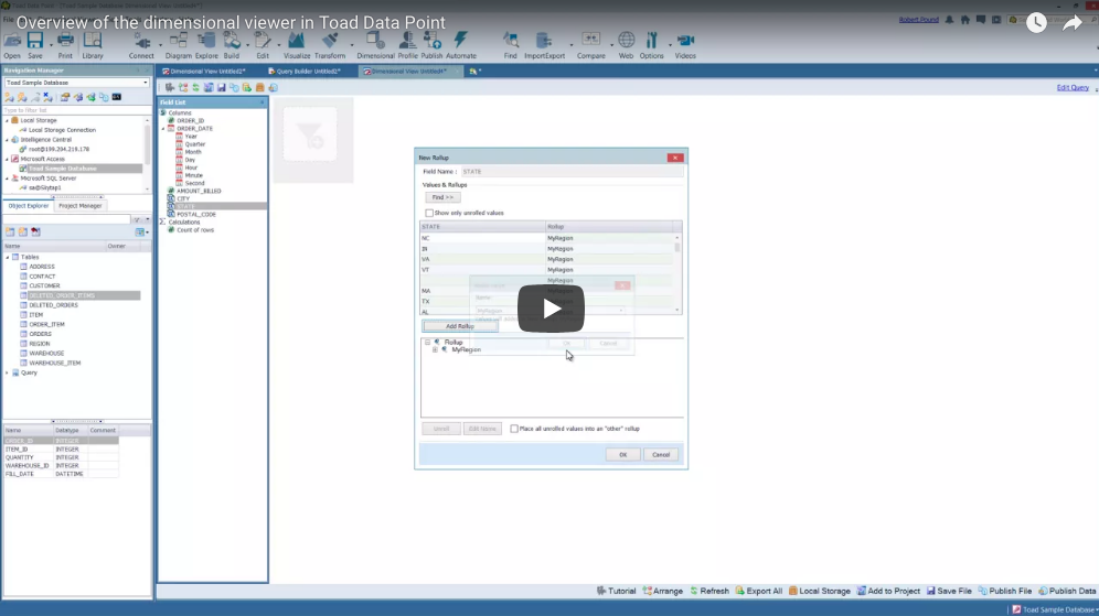 Toad Data Point - Dimensional Viewer overview