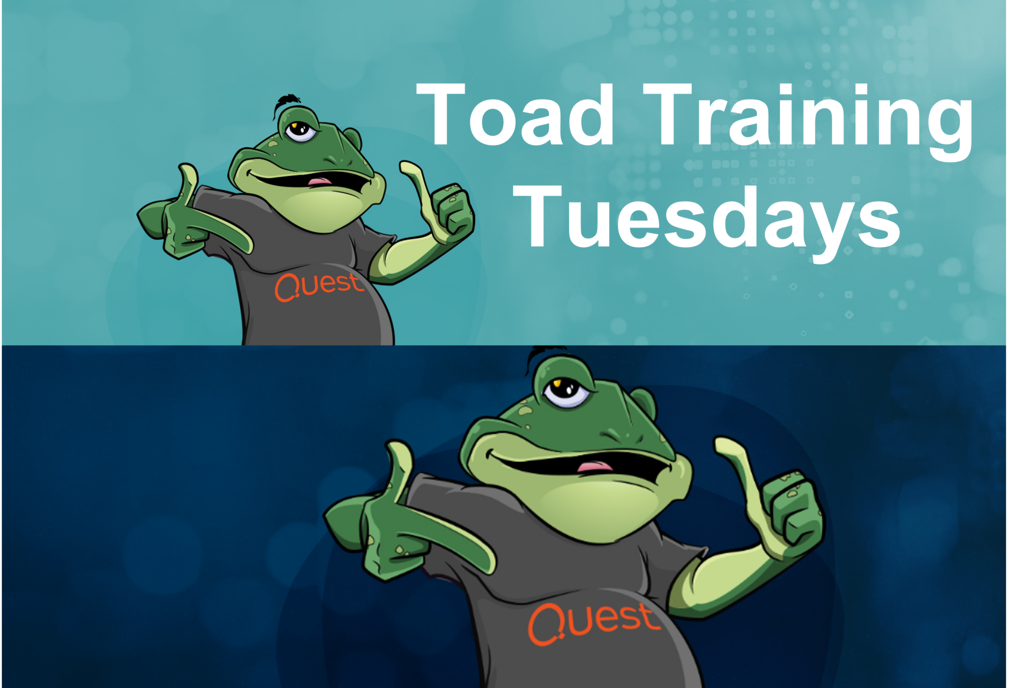 Toad for Oracle - Toad World Blog